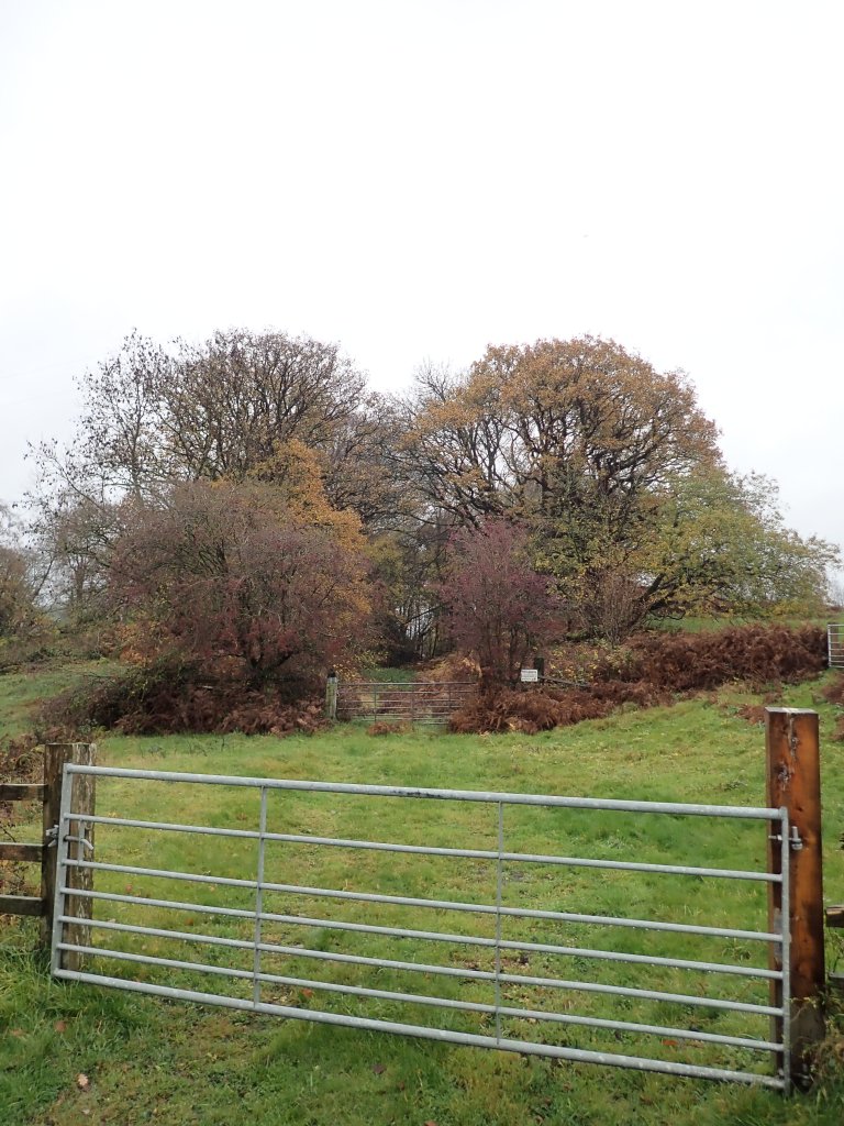 Following the Nidd Valley Railway – the Severe climber